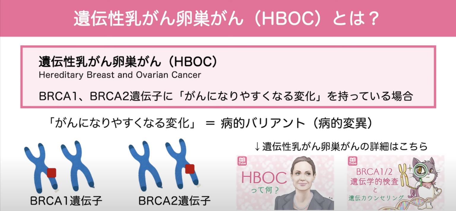 NEWS】遺伝性乳がん術後の新たな選択肢 〜オラパリブ適応拡大〜｜乳がん大事典｜一般社団法人BC TUBE｜複数人の乳腺科医による制作・監修