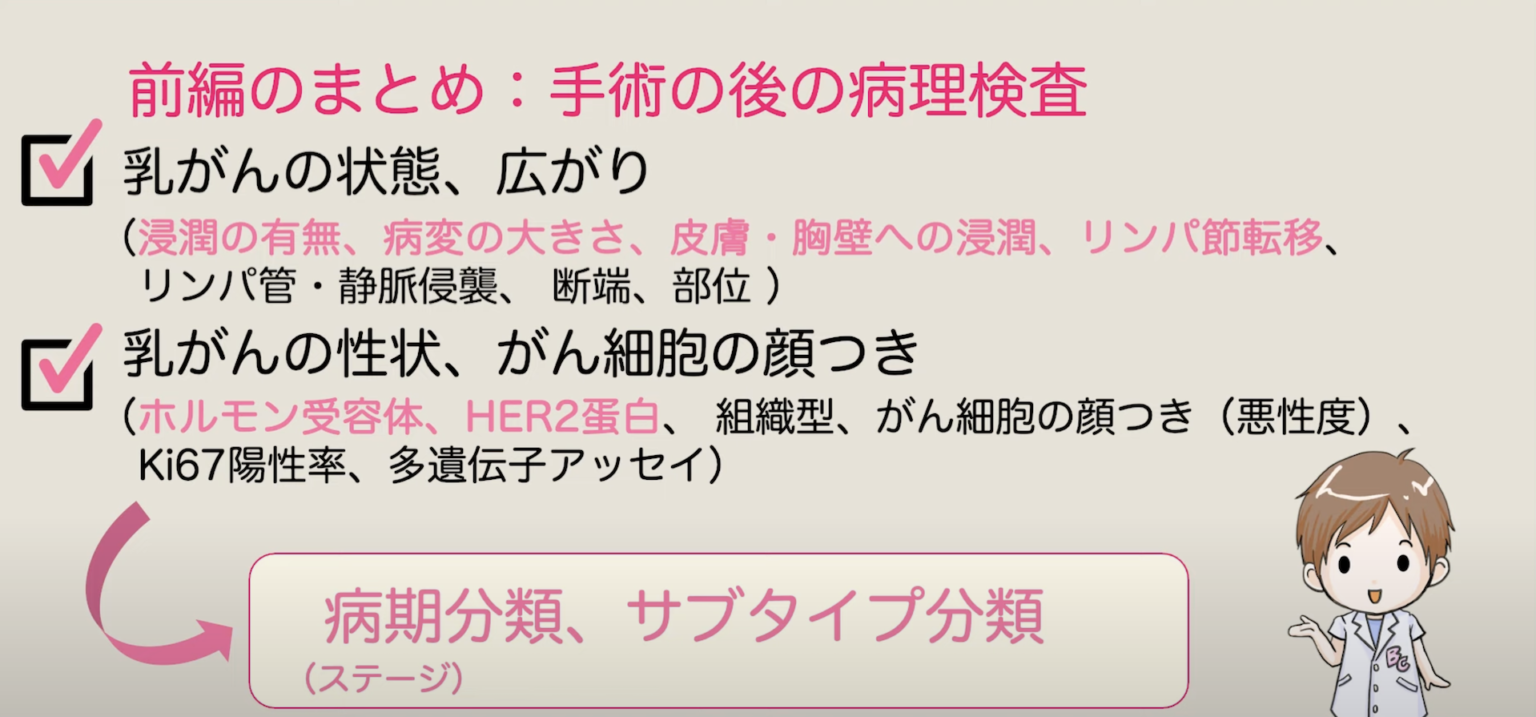 » 【病理前編】乳がん手術後の検査結果～ステージ・サブタイプ～｜乳がん大事典｜一般社団法人BC TUBE｜複数人の乳腺科医による制作・監修