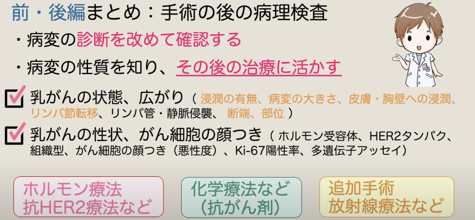 » 【病理後編】乳がん手術後の検査結果～組織型、グレード、Ki-67、脈管侵襲、断端～｜乳がん大事典｜一般社団法人BC TUBE｜複数人の乳腺科医による制作・監修