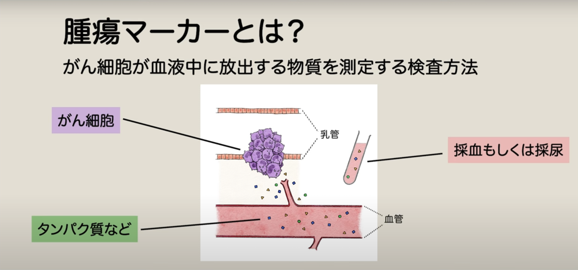 » 腫瘍マーカー(がんマーカー)って何？｜乳がん大事典｜一般社団法人BC TUBE｜複数人の乳腺科医による制作・監修