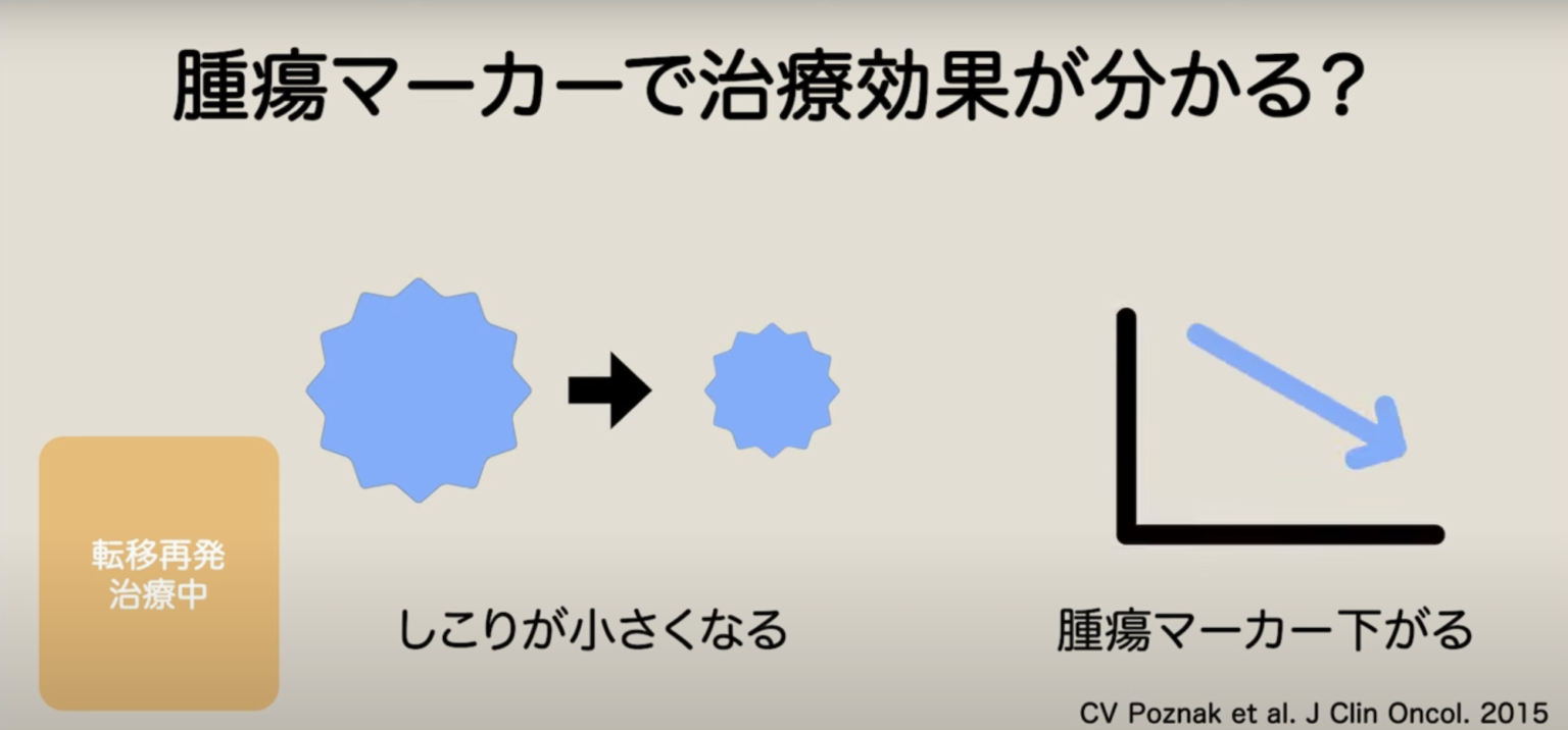 » 腫瘍マーカー(がんマーカー)って何？｜乳がん大事典｜一般社団法人BC TUBE｜複数人の乳腺科医による制作・監修
